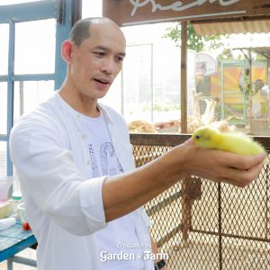 เล้าไก่ไข่ สารพัดสัตว์ปีก เป็ด ไก่ ห่าน หมู เลี้ยงรวมกันได้ที่ Prem Farm