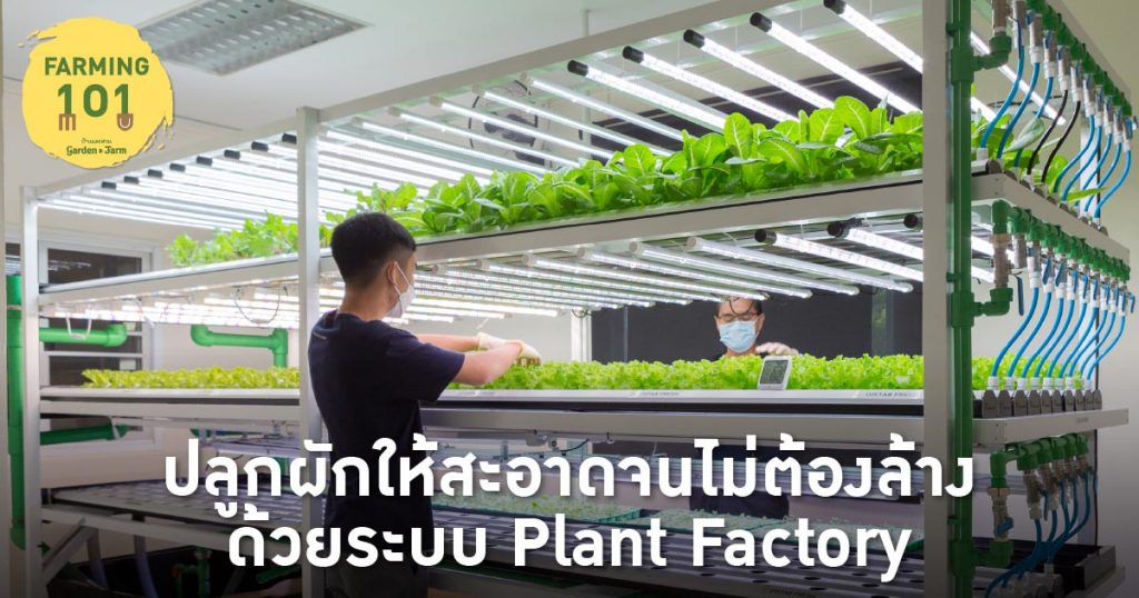 Plant Factory Archives - Garden & Farm