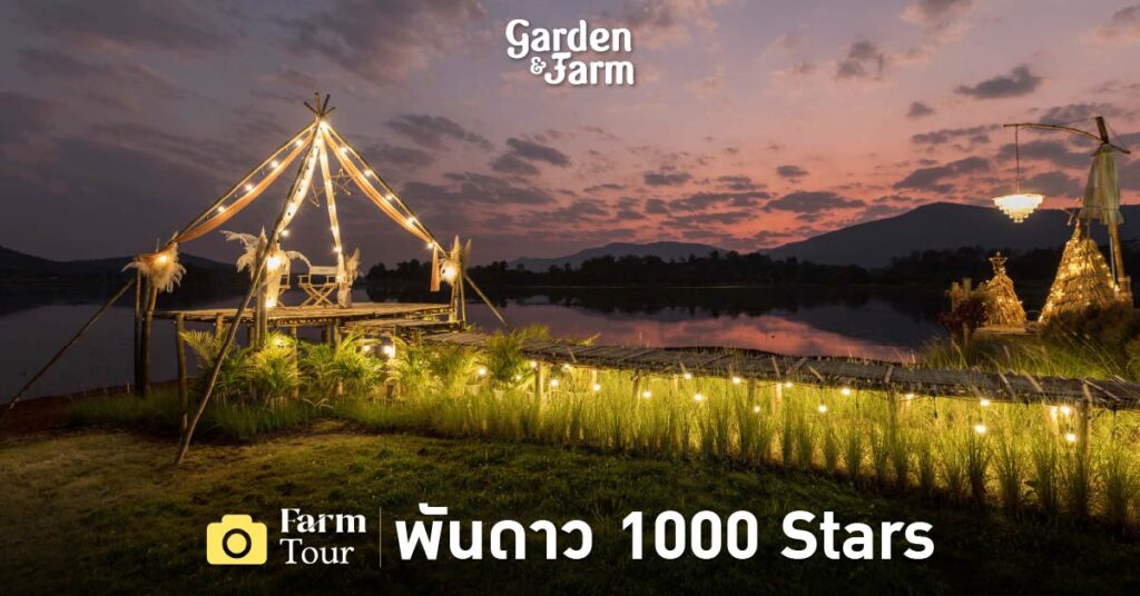 พันดาว 1000 stars กลับมาชนบท กอดธรรมชาติ และกล่อมแสงดาว - บ้านและสวน