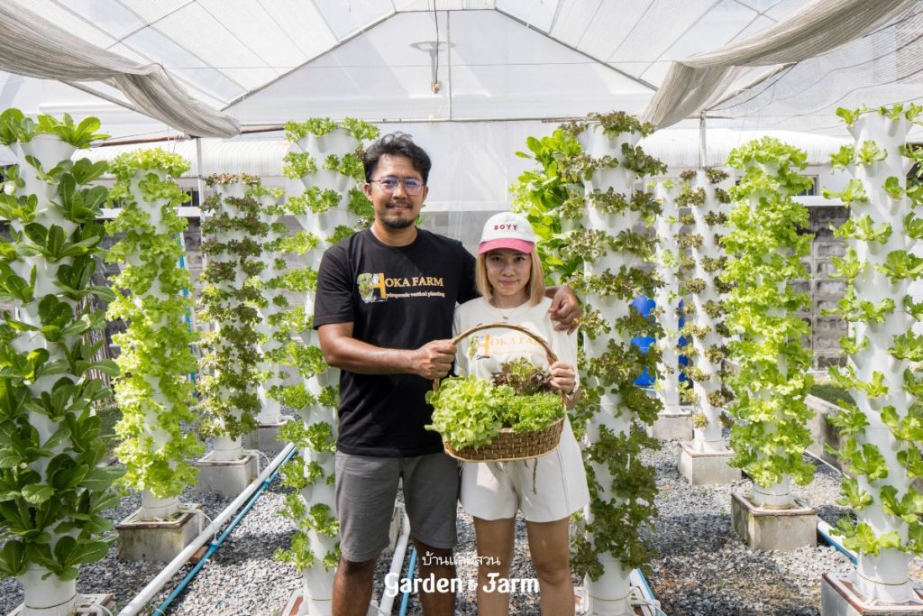 ปลูกผักแนวตั้ง Hoka Farm เพื่อตอบโจทย์คนเมืองที่มีพื้นที่น้อย - บ้านและสวน