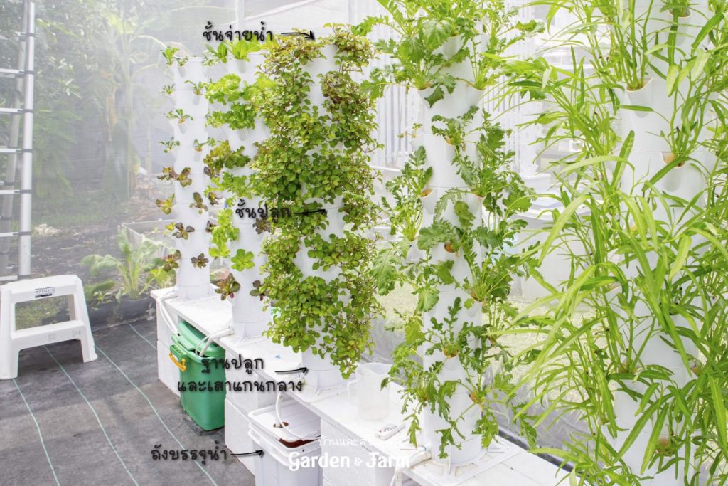 ปลูกผักแนวตั้ง Hoka Farm เพื่อตอบโจทย์คนเมืองที่มีพื้นที่น้อย - บ้านและสวน