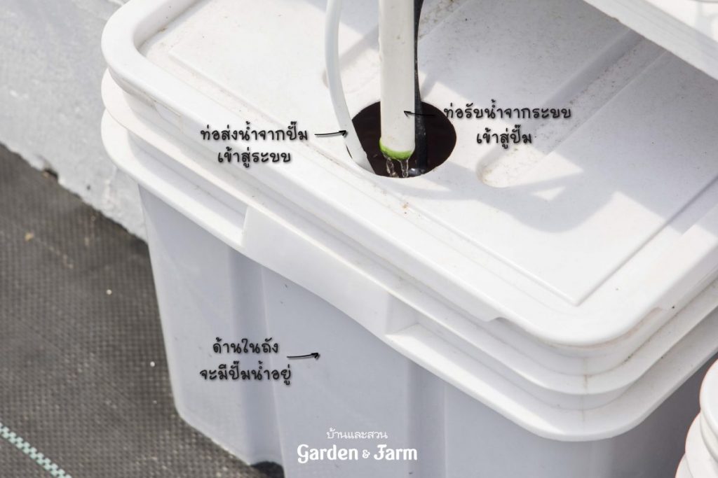 ปลูกผักแนวตั้ง Hoka Farm เพื่อตอบโจทย์คนเมืองที่มีพื้นที่น้อย - บ้านและสวน