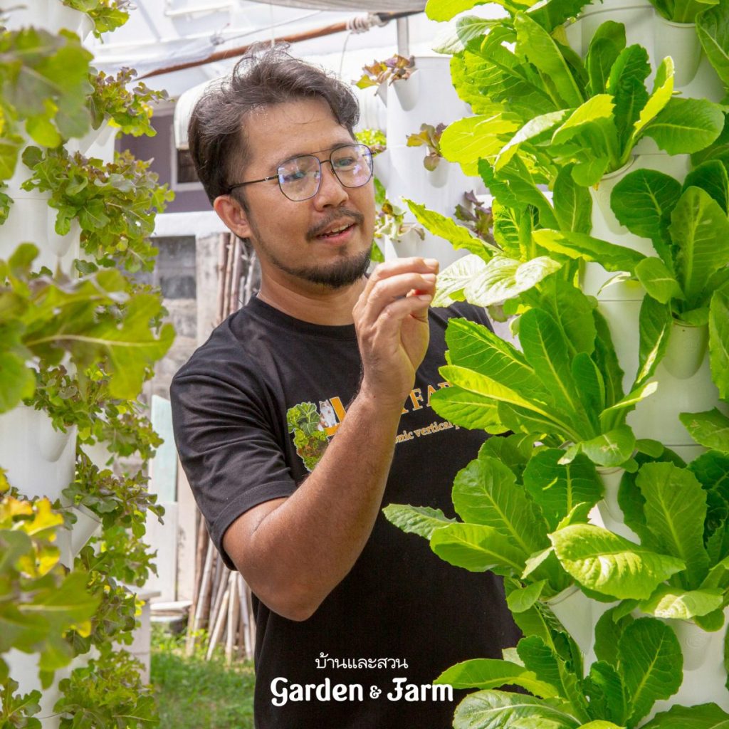 ปลูกผักแนวตั้ง Hoka Farm เพื่อตอบโจทย์คนเมืองที่มีพื้นที่น้อย - บ้านและสวน