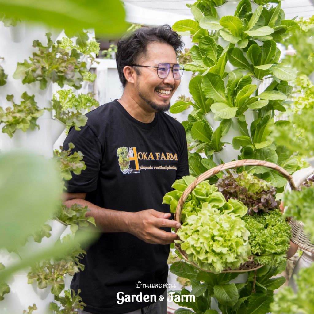 ปลูกผักแนวตั้ง Hoka Farm เพื่อตอบโจทย์คนเมืองที่มีพื้นที่น้อย - บ้านและสวน
