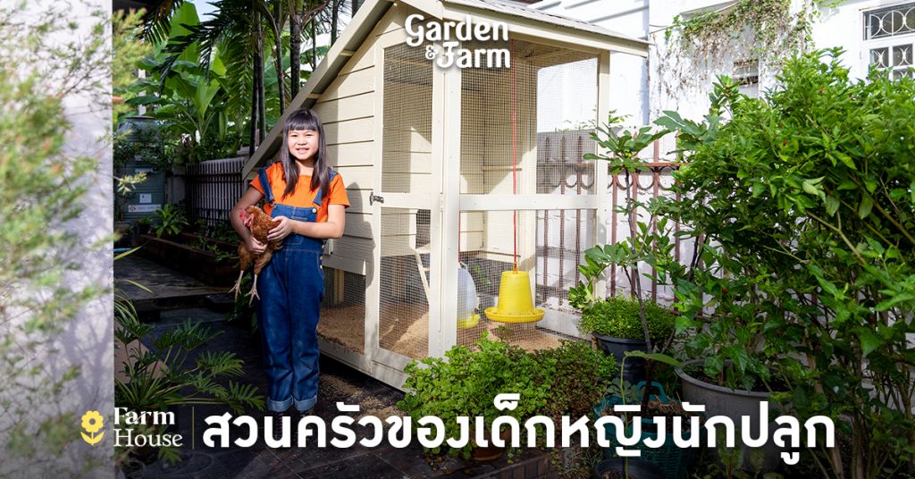 Prom Garden Family สวนครัวข้างบ้าน - บ้านและสวน
