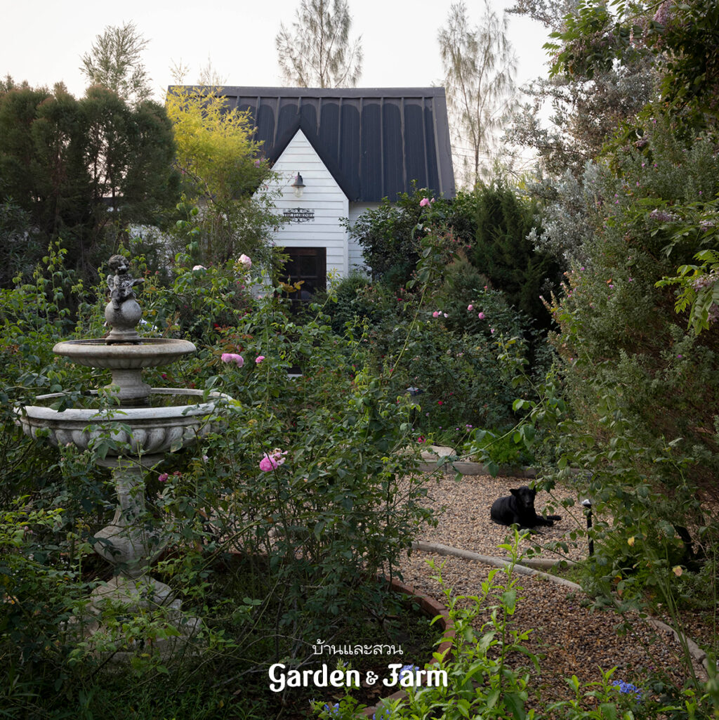 สวนเพ็ชร ฐกฤต มายด์ ฑาริกา The Florimel ชัยนาท - บ้านและสวน