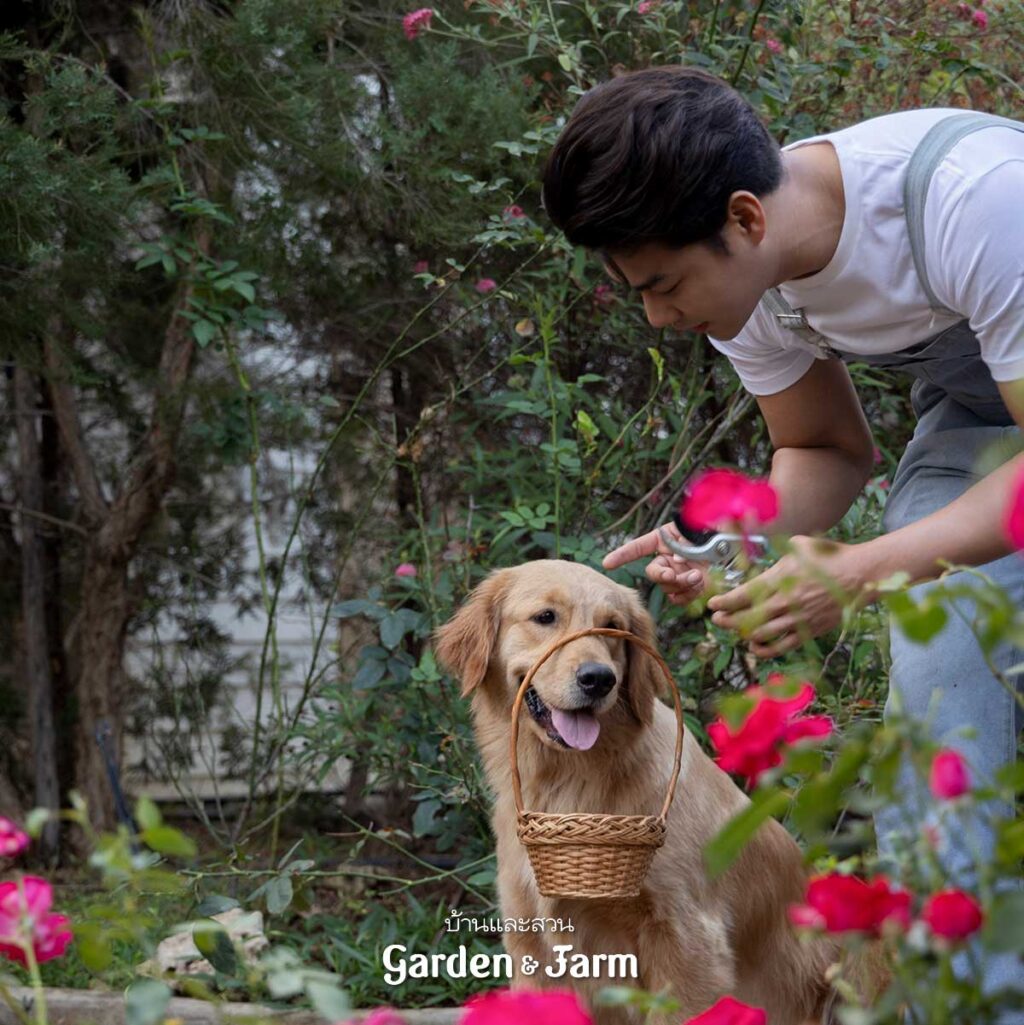 สวนเพ็ชร ฐกฤต มายด์ ฑาริกา The Florimel ชัยนาท - บ้านและสวน