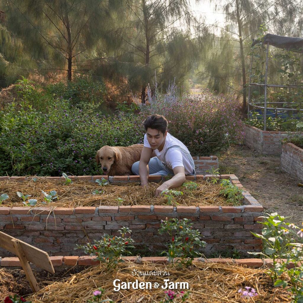 สวนเพ็ชร ฐกฤต มายด์ ฑาริกา The Florimel ชัยนาท - บ้านและสวน