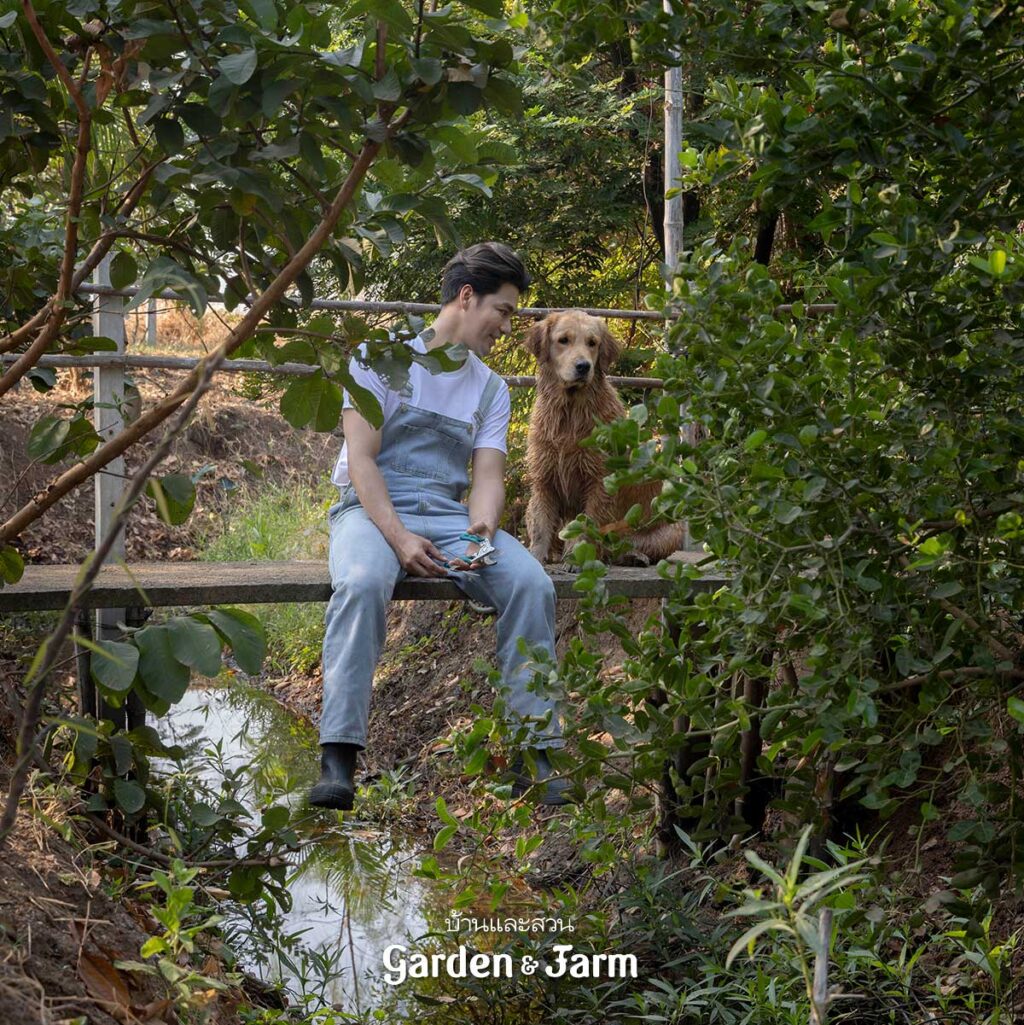 สวนเพ็ชร ฐกฤต มายด์ ฑาริกา The Florimel ชัยนาท - บ้านและสวน