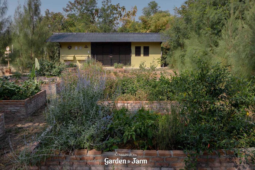 สวนเพ็ชร ฐกฤต มายด์ ฑาริกา The Florimel ชัยนาท - บ้านและสวน