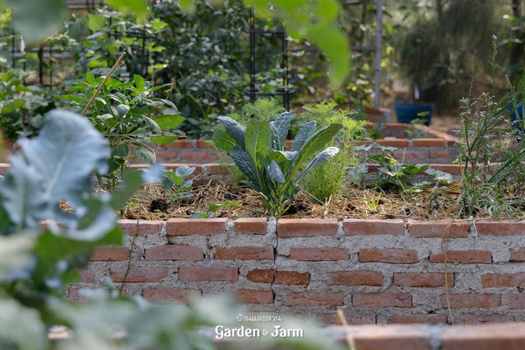 สวนเพ็ชร ฐกฤต มายด์ ฑาริกา The Florimel ชัยนาท - บ้านและสวน