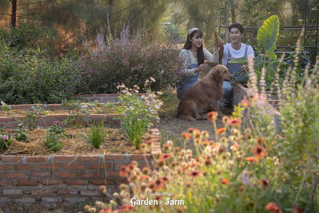 สวนเพ็ชร ฐกฤต มายด์ ฑาริกา The Florimel ชัยนาท - บ้านและสวน