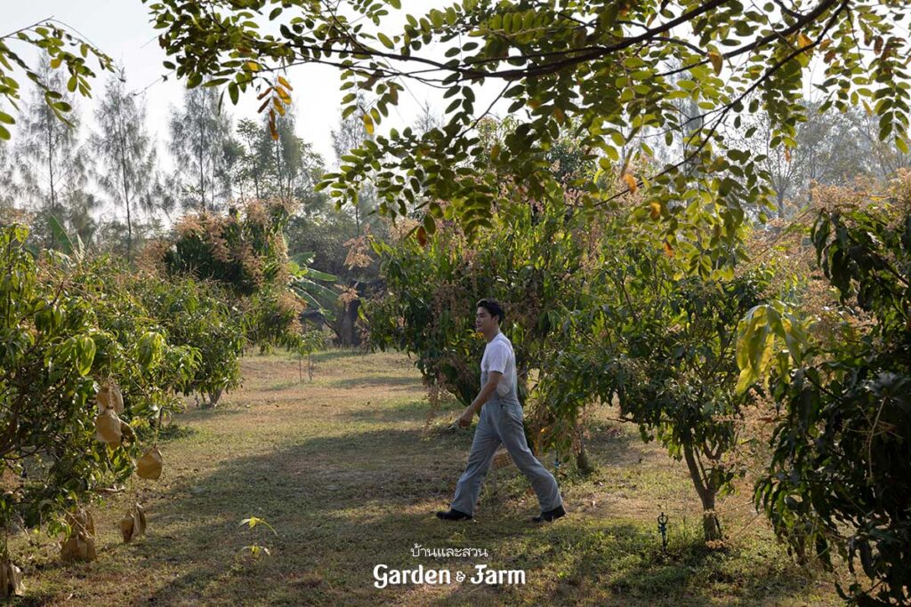 สวนเพ็ชร ฐกฤต มายด์ ฑาริกา The Florimel ชัยนาท - บ้านและสวน