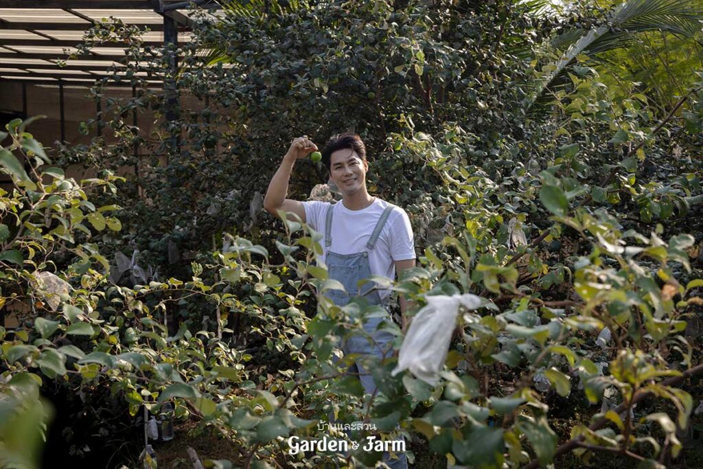 สวนเพ็ชร ฐกฤต มายด์ ฑาริกา The Florimel ชัยนาท - บ้านและสวน