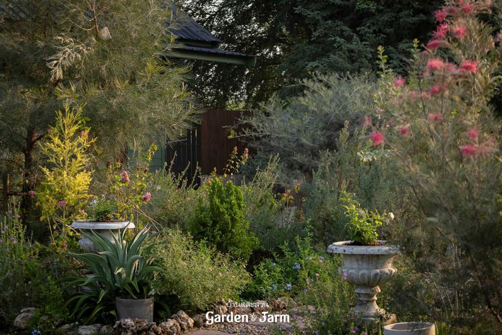 สวนเพ็ชร ฐกฤต มายด์ ฑาริกา The Florimel ชัยนาท - บ้านและสวน