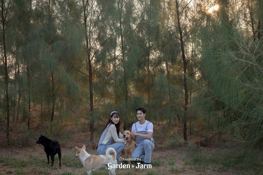 สวนเพ็ชร ฐกฤต มายด์ ฑาริกา The Florimel ชัยนาท - บ้านและสวน