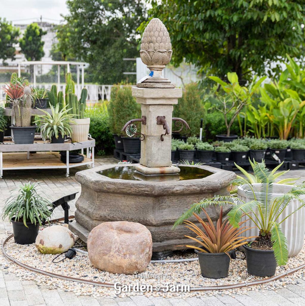 ไปเติมพลังสีเขียว ที่ SAMA GARDEN - บ้านและสวน